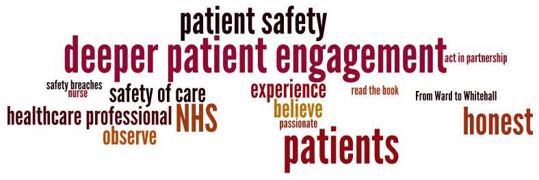 Patients and Citizens - bringing something different to patient safety ...
